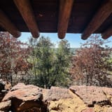 Lost Pines Trail, Texas - 671 Reviews, Map | AllTrails