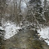 Killington Peak via Bucklin Trail, Vermont - 1,825 Reviews, Map | AllTrails