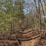Mathews Arm Overall Run Trail, Virginia - 242 Reviews, Map | AllTrails