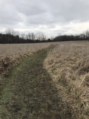 Best Hikes and Trails in Elburn Forest Preserve | AllTrails