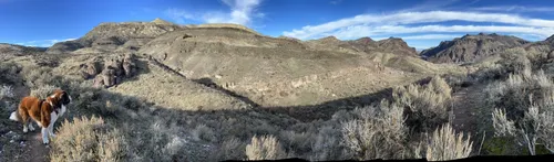 Best Hikes and Trails in Harper | AllTrails