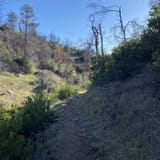 Wintu Loop, California - 235 Reviews, Map | AllTrails
