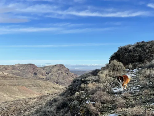 Best Hikes and Trails in Harper | AllTrails