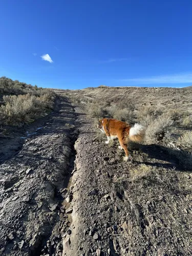 Best Hikes and Trails in Harper | AllTrails