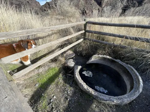 Best Hikes and Trails in Harper | AllTrails