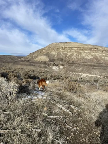 Best Hikes and Trails in Harper | AllTrails