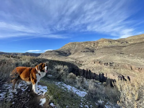 Best Hikes and Trails in Harper | AllTrails