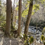 Ramsey Cascades Trail, Tennessee - 2,173 Reviews, Map | AllTrails