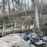 Ramsey Cascades Trail, Tennessee - 2,173 Reviews, Map | AllTrails