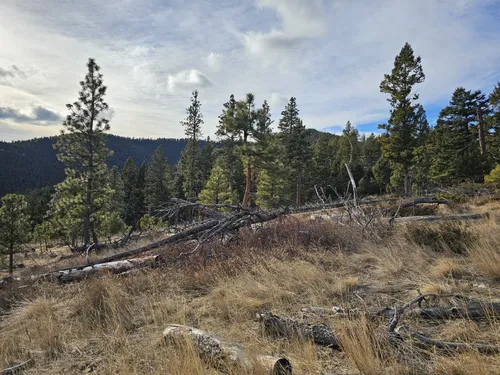10 Best Hikes and Trails in Mount Helena City Park | AllTrails