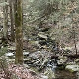 Echo Lake, New York - 480 Reviews, Map | AllTrails
