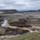 Towell Falls from Escure Ranch, Washington - 207 Reviews, Map | AllTrails