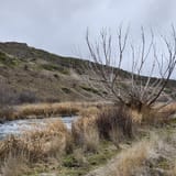 Towell Falls from Escure Ranch, Washington - 207 Reviews, Map | AllTrails