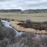 Towell Falls from Escure Ranch, Washington - 207 Reviews, Map | AllTrails