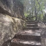 Manly Dam Loop, New South Wales, Australia - 960 Reviews, Map | AllTrails