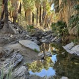 Victor Loop, California - 1,351 Reviews, Map | AllTrails