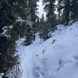 Meadow Loop and Ridge Trail, Colorado - 3,234 Reviews, Map | AllTrails