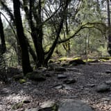 Stevens Trail, California - 4,408 Reviews, Map | AllTrails