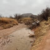 The Paseo del Rio Trail, Texas - 345 Reviews, Map | AllTrails