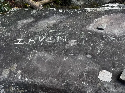 Best 10 Hiking Trails in Neversink River Unique Area | AllTrails