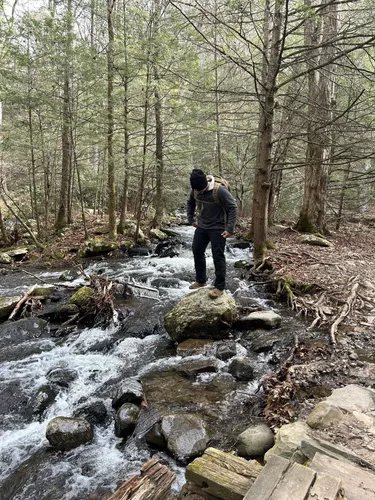 Best 10 Hiking Trails in Neversink River Unique Area | AllTrails