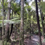 Clevedon Scenic Reserve Track and Thorps Quarry, Auckland, New Zealand ...