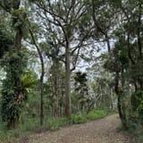 Middle Kobble Creek Falls , Queensland, Australia - 250 Reviews, Map ...