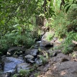 Makiki Valley Loop Trail, Oahu, Hawaii - 5,455 Reviews, Map | AllTrails