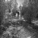 Olmstead Loop and Wendell Robie Trail, California - 2,926 Reviews, Map ...