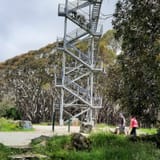 Mount Victoria Track, Victoria, Australia - 302 Reviews, Map | AllTrails
