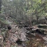 Mt Coot-tha Summit Track, Queensland, Australia - 409 Reviews, Map ...