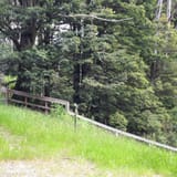 Mount Victoria Track, Victoria, Australia - 302 Reviews, Map | AllTrails