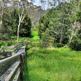 Mount Victoria Track, Victoria, Australia - 302 Reviews, Map | AllTrails
