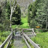 Mount Victoria Track, Victoria, Australia - 302 Reviews, Map | AllTrails