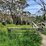 Mount Victoria Track, Victoria, Australia - 302 Reviews, Map | AllTrails