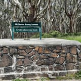 Mount Victoria Track, Victoria, Australia - 302 Reviews, Map | AllTrails