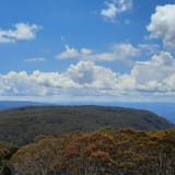 Mount Victoria Track, Victoria, Australia - 302 Reviews, Map | AllTrails