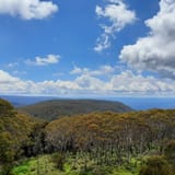 Mount Victoria Track, Victoria, Australia - 302 Reviews, Map | AllTrails