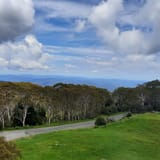 Mount Victoria Track, Victoria, Australia - 302 Reviews, Map | AllTrails