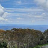 Mount Victoria Track, Victoria, Australia - 302 Reviews, Map | AllTrails