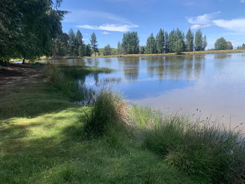 Best Hikes and Trails in Naseby Forest | AllTrails