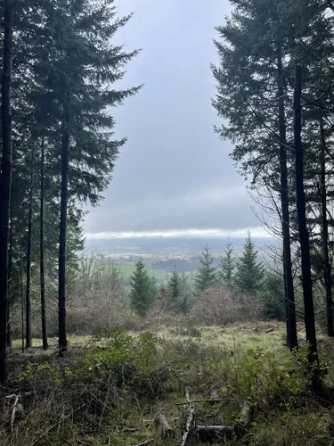 Best 10 Hiking Trails in Chehalem Ridge Natural Area | AllTrails