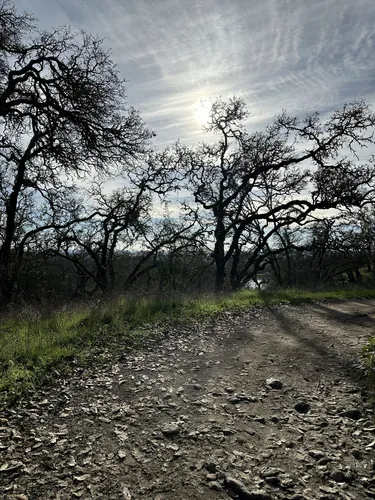 Best Hikes and Trails in Foothill Regional Park | AllTrails
