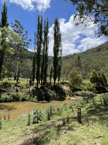 Best Hikes and Trails in Watagan State Forest | AllTrails