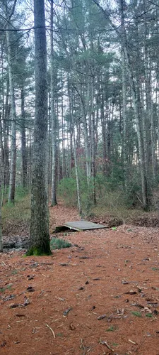 Best Hikes and Trails in Memorial Forest | AllTrails