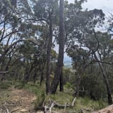 Kyeema, Channel 10 and Camella Circuit, Victoria, Australia - 216 ...