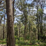 Kyeema, Channel 10 and Camella Circuit, Victoria, Australia - 216 ...