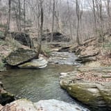 Trout Run Trail, Pennsylvania - 345 Reviews, Map | AllTrails