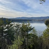 Fonta Flora Trail Loop, North Carolina - 1,553 Reviews, Map | AllTrails