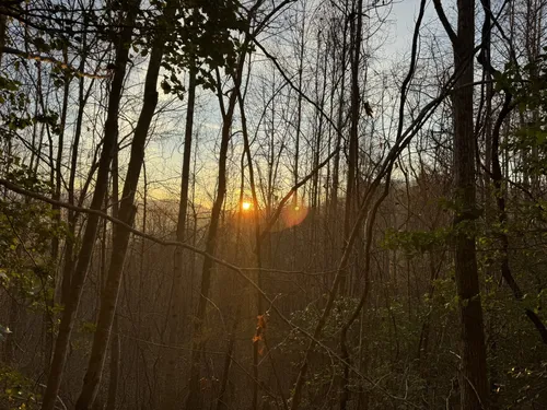 Best Hikes and Trails in Western Carolina University Trail System ...
